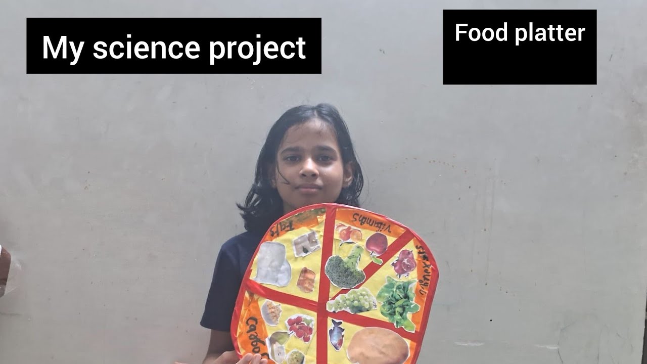 My science project on healthy food platter @Nitya104. please like and ...