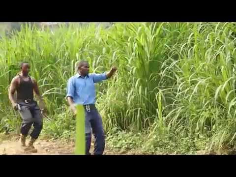 Official Trailer: African action Movie : UMUTWE W'NKUBA