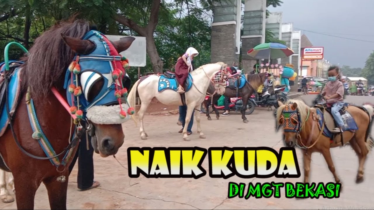 NAIK KUDA ~ NAIK KUDA DI MUTIARA GADING TIMUR BEKASI,KUDANYA LARI ...