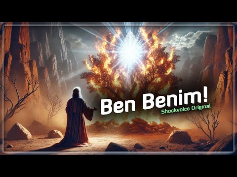 Ben Benim