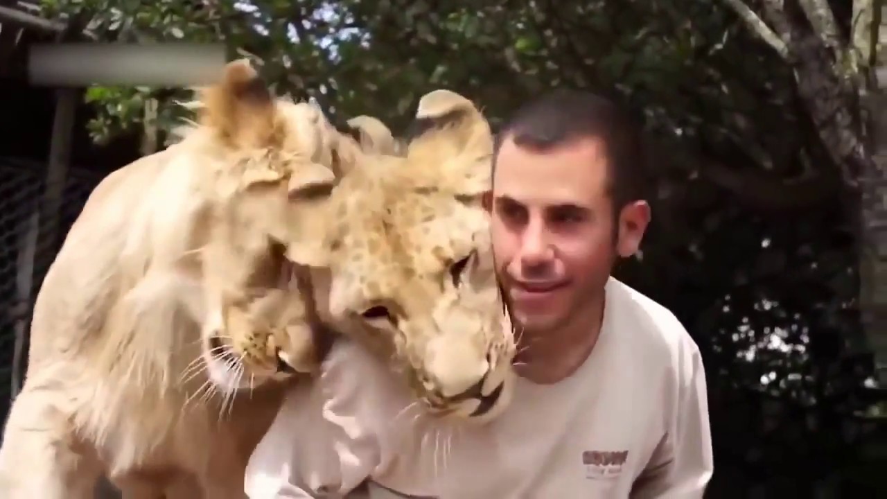 Animals hugging humans for the first time ... I recommend - YouTube
