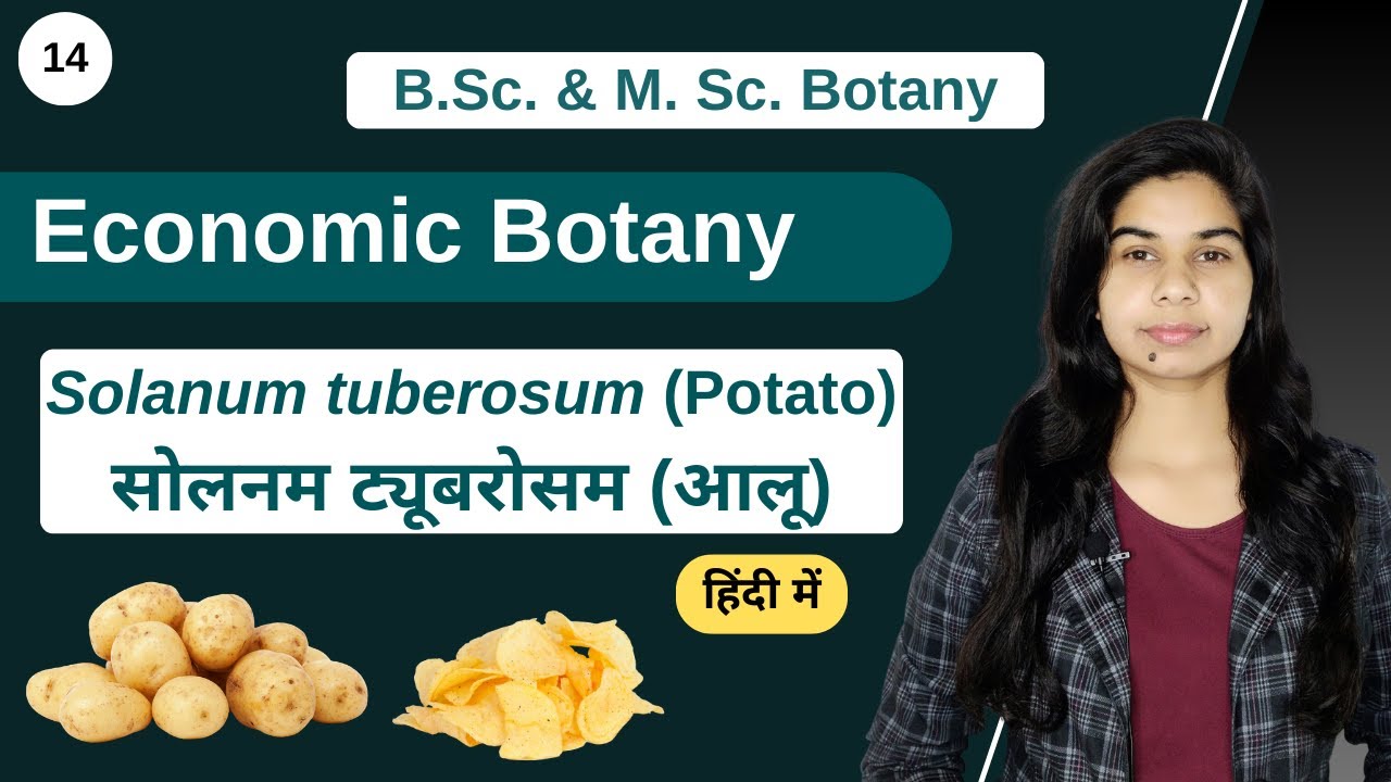 Economic Botany || सोलनम ट्यूबरोसम (आलू) || Solanum tuberosum (Potato ...