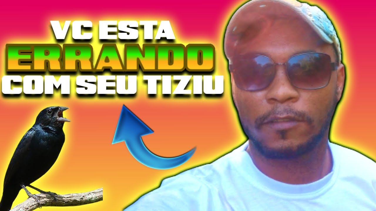 TIZIU 3 Dicas Infalíveis que Deixaram Meu Tiziu 100% Cantando Muito ...