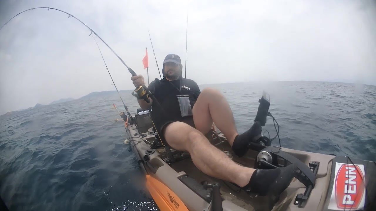 Όταν πας για ψάρεμα σφυρίδας με το καγιακ...και έρχεσαι αντιμέτωπος με ...