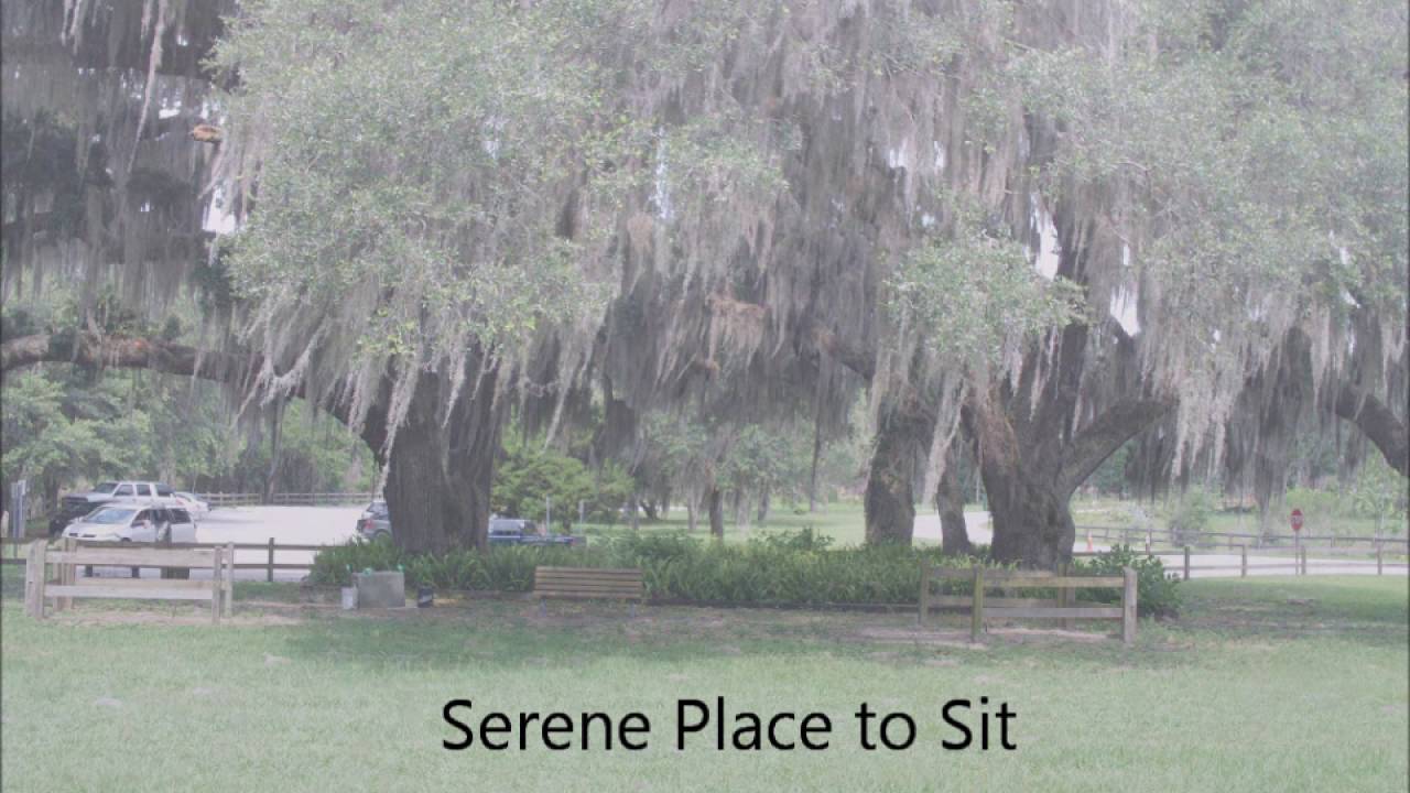 Carney Island Park Ocala, FL - YouTube