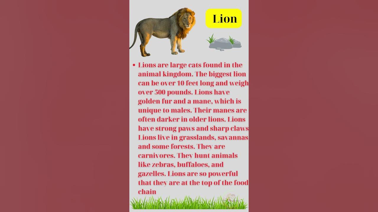 Explore the Animal Kingdom: Learn English Vocabulary Through Lions for ...