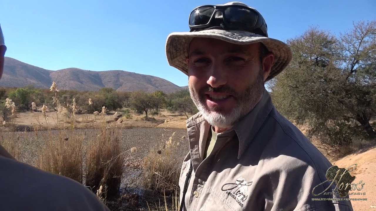 Hunting Hippo with Horns Africa Safaris - YouTube