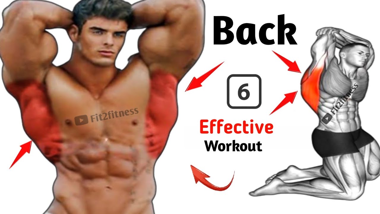 How To Grow Your Back ( Effective Exercise ) - YouTube