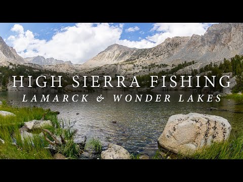 High Sierra Fishing - Lamarck & Wonder Lakes (August 2020) - 4K - YouTube