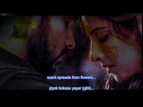 Maula mere maula (Mevlam, benim Mevlam / Lord, my Lord) | Türkçe Altyazılı | English Translation