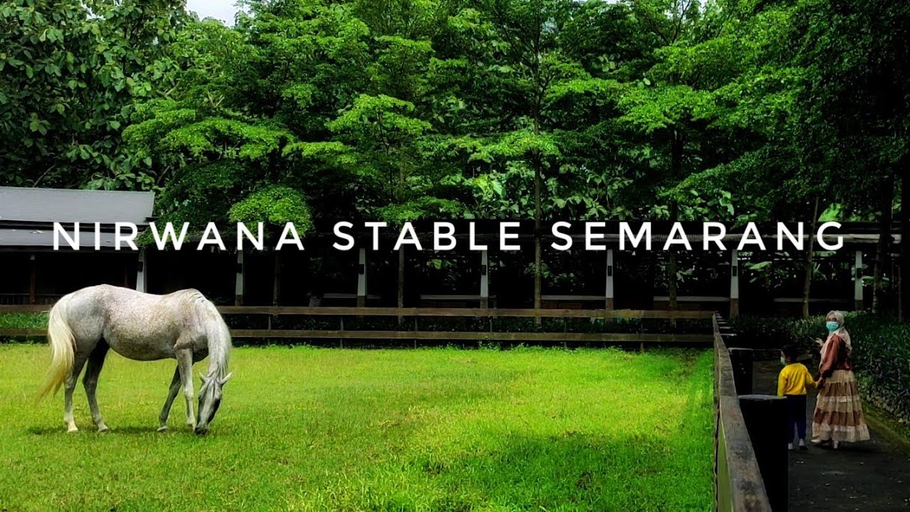 Nirwana Stable Semarang 2021 - YouTube