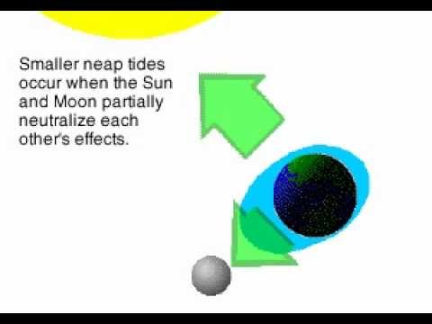 Basic Explanation of Ocean Tides - YouTube