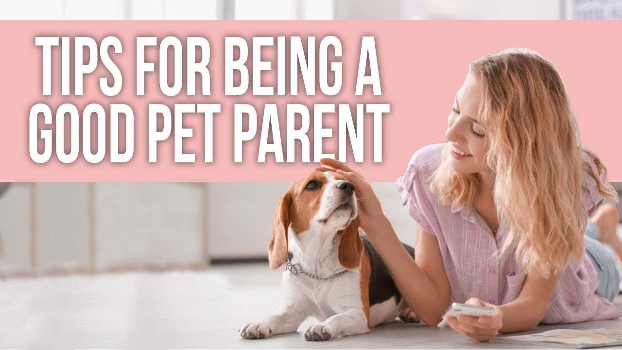 How Can I Be A Good Puppy Parent