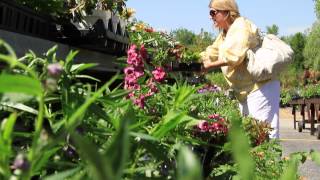 Wickman's Garden Village-Mother's Day 2013