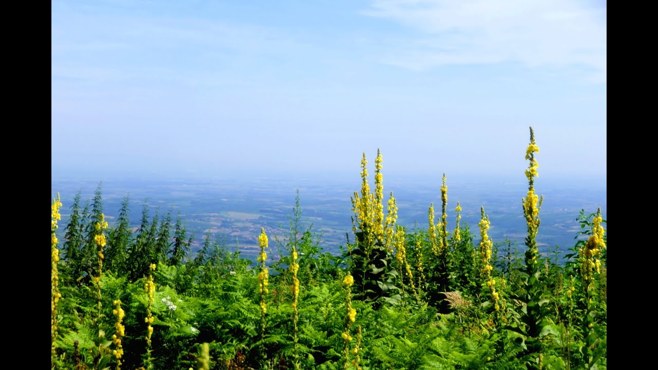 Posetite planinu Cer/Explore the historical Cer mountain - YouTube