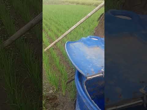 Ohh..No 😱😱we have problem.... !!! - YouTube
