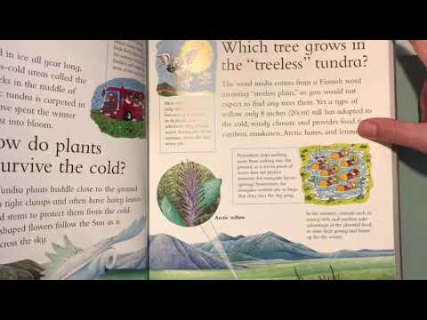 Read Aloud and Main Idea - YouTube