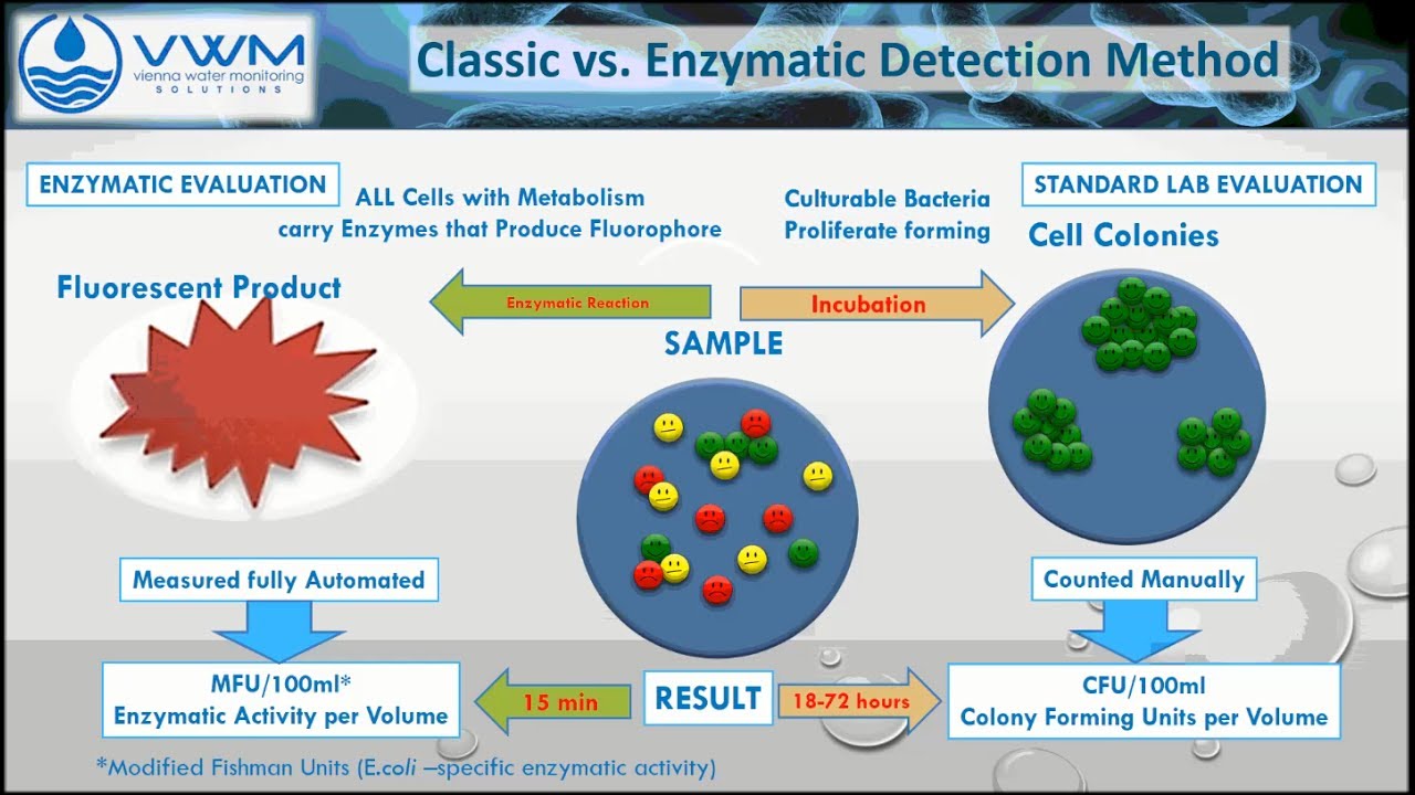 ColiMinder - Automated Monitoring of Microbiological Water Quality ...