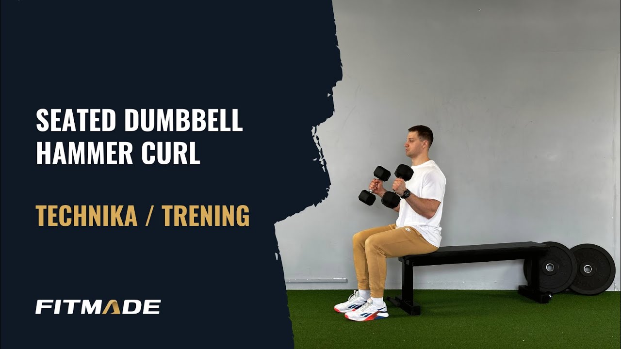 Seated dumbbell hammer curl - Ćwiczenie / Prawidłowa Technika | FITMADE ...