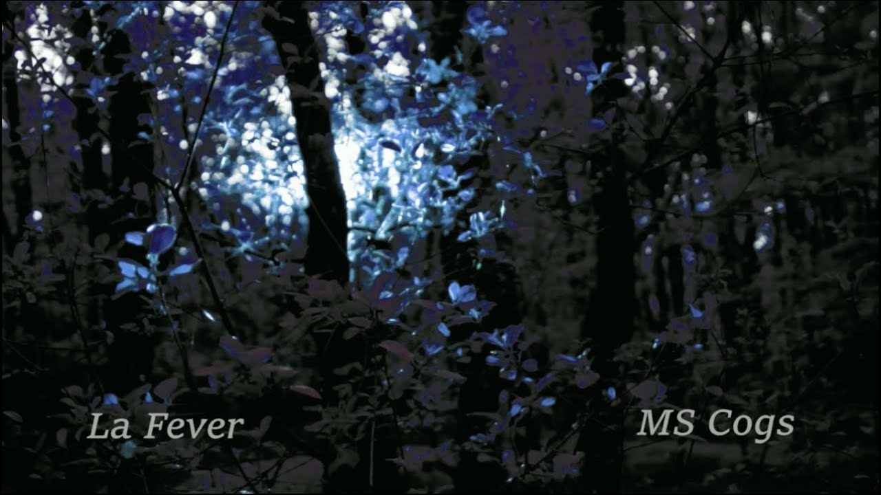 La Fever (Feat. Greg Essig) - MS Cogs - OFFICIAL VIDEO - YouTube