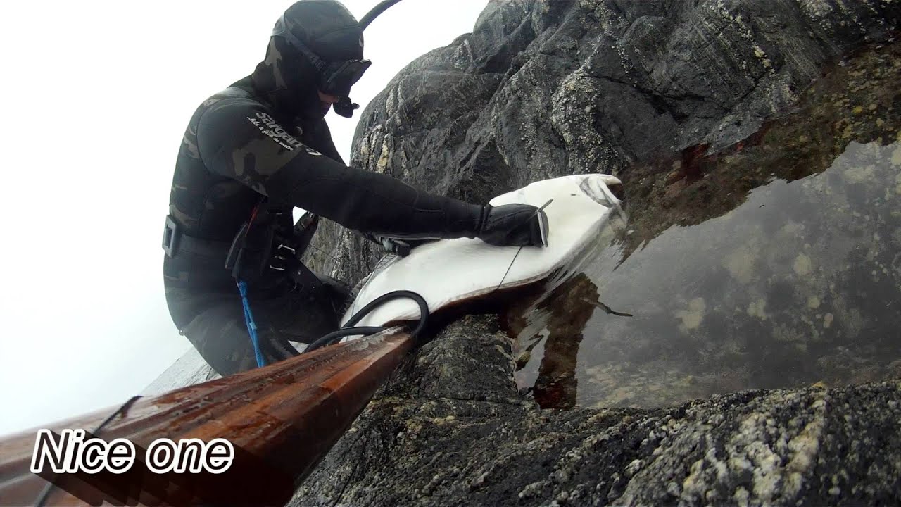 Spearfishing in Norway, Paltus Halibut - YouTube