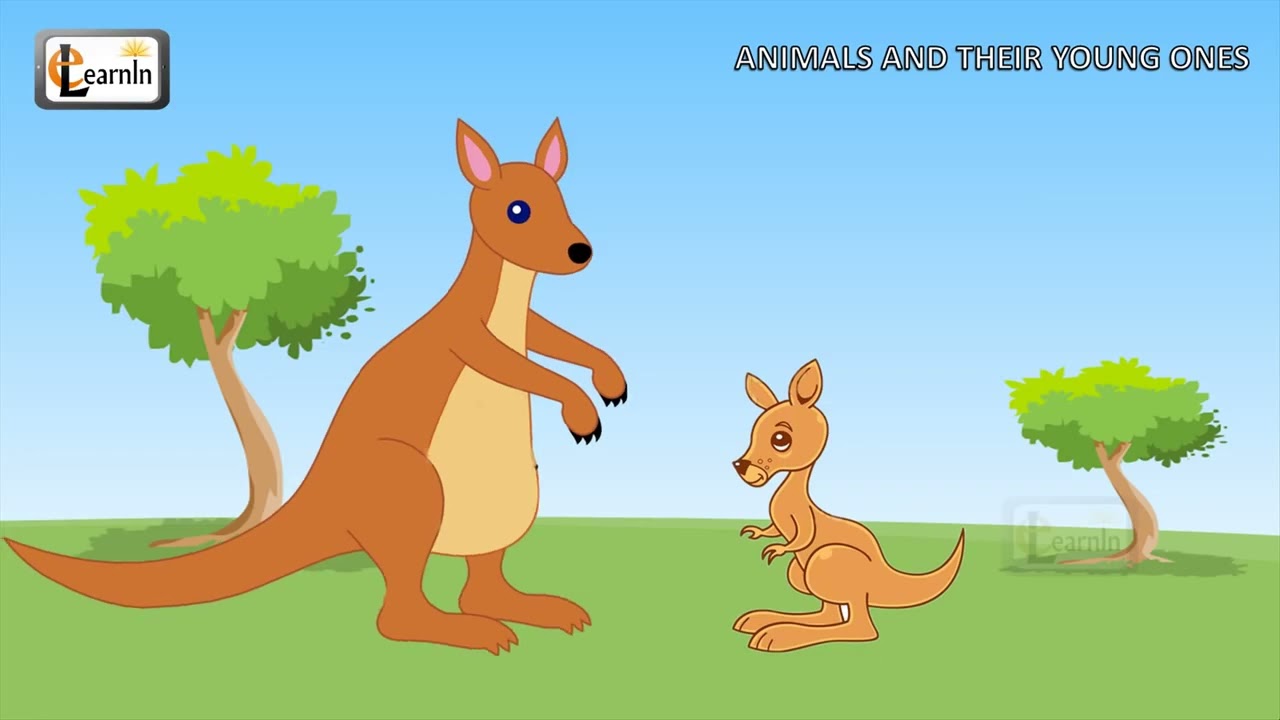 Ms Huyền The Baby Animals Song Mother and baby animals elearnin - YouTube