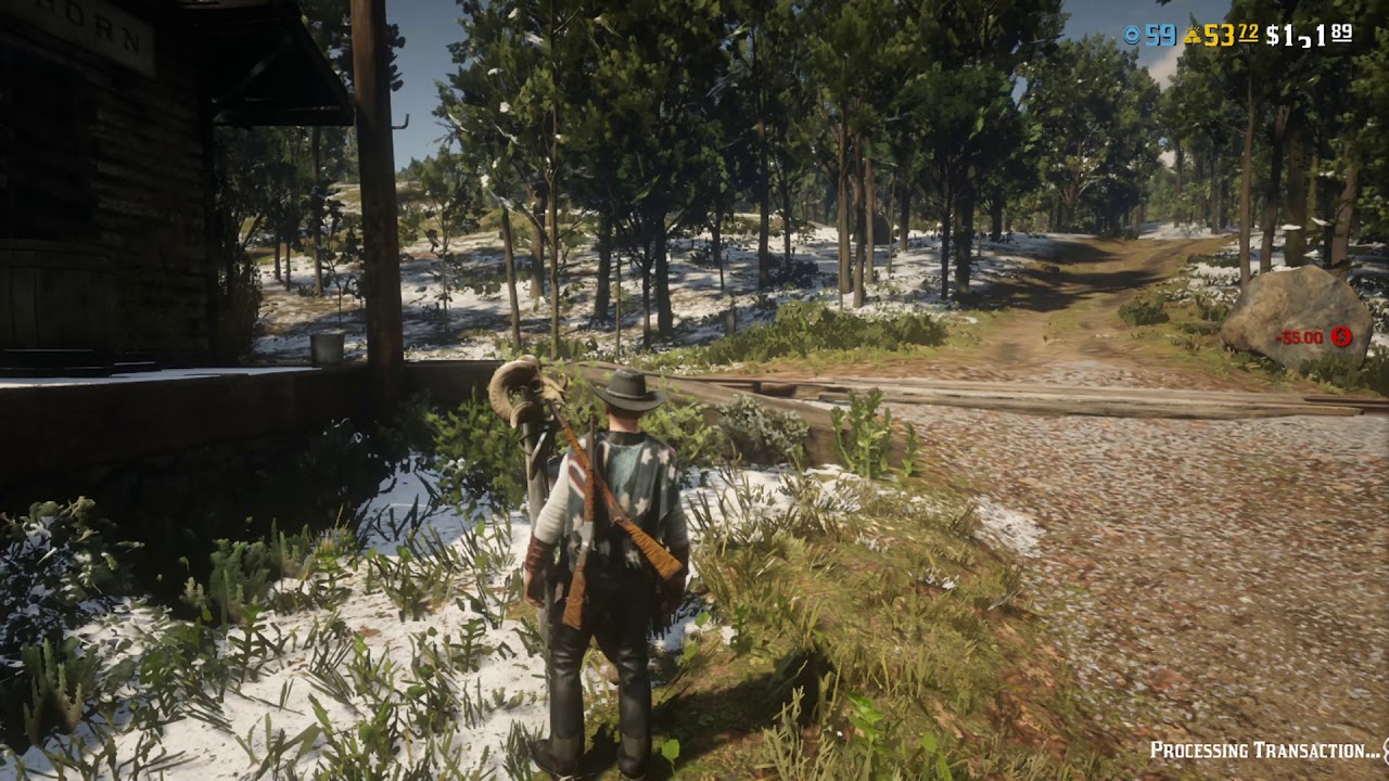 Red Dead Redemption 2 Visited a shop in Strawberry - YouTube