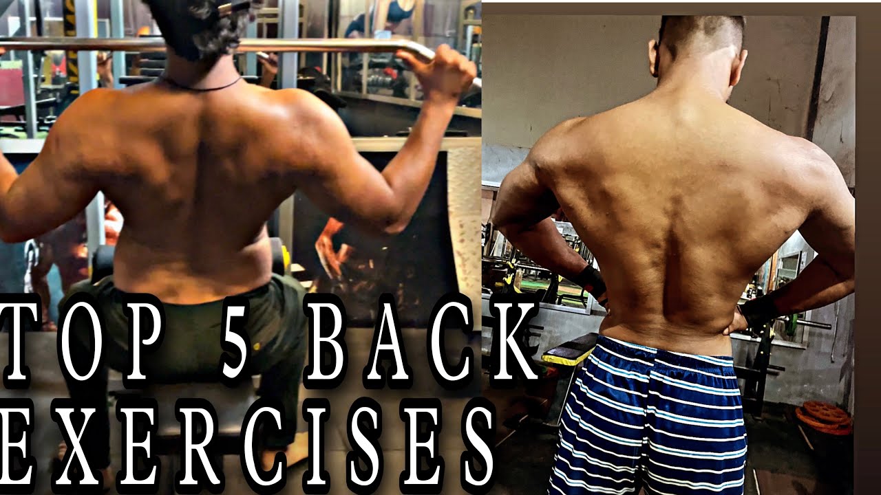 Top 5 back exercise best exercise 🔥 #youtube #backexercises # ...