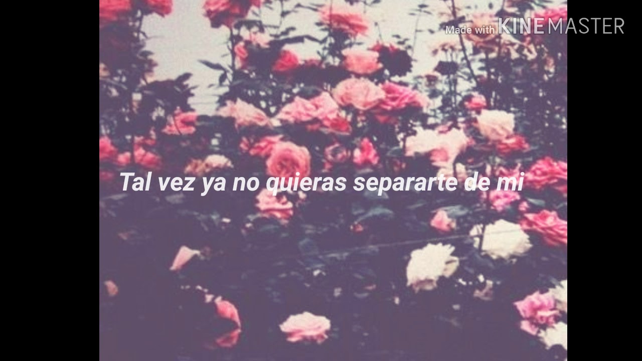 Mienteme - Camilo septimo(Letra) - YouTube