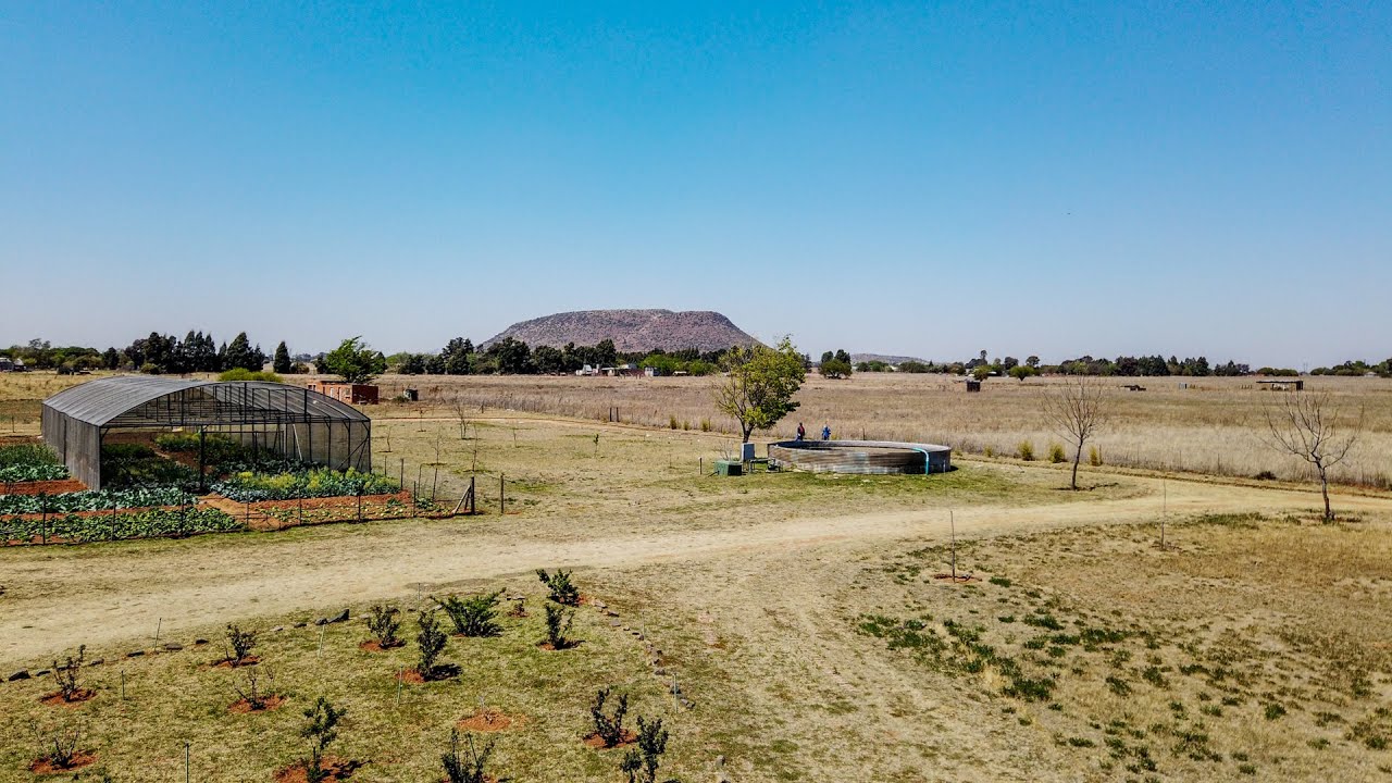 Farm For Sale | Bloemfontein Farms - YouTube