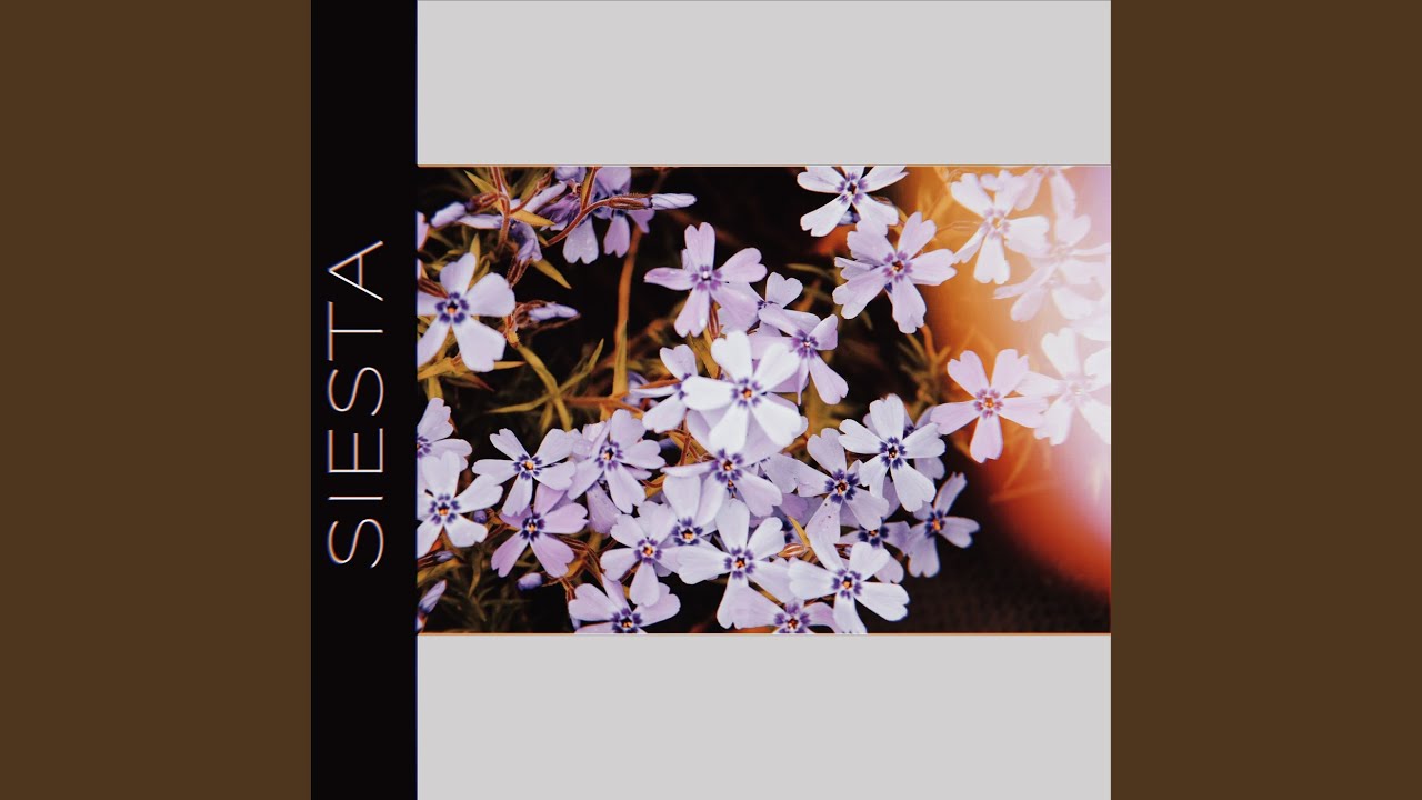 Siesta - YouTube