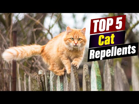 Top 5 Cat Repellents That Actually Work: Tested and Reviewed