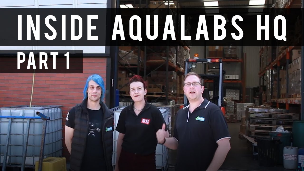 One Stop Road Trip: Visiting Aqualabs HQ Part 1 - YouTube