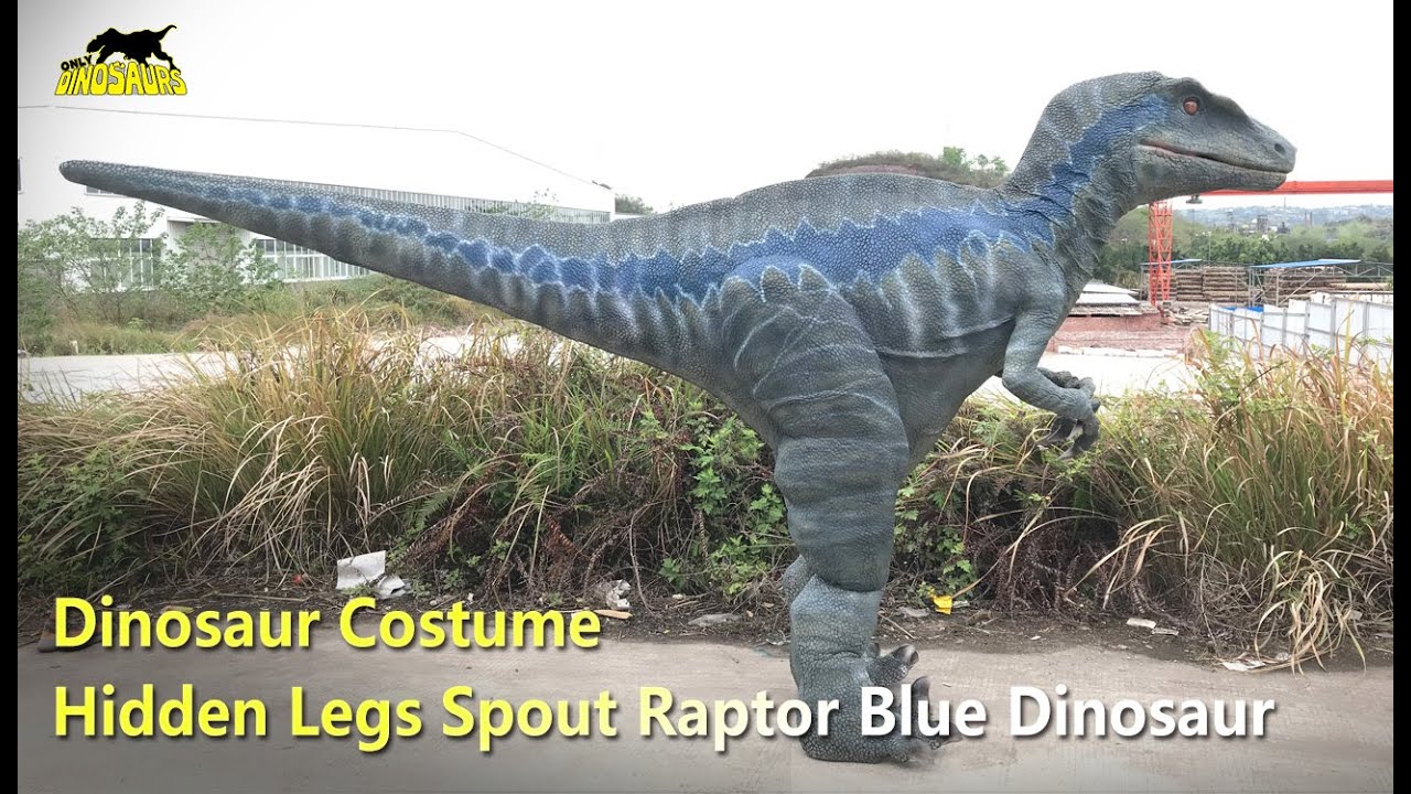 Dinosaur Costume:Blue spout Hidden Legs Raptor Costume | Costumes - YouTube