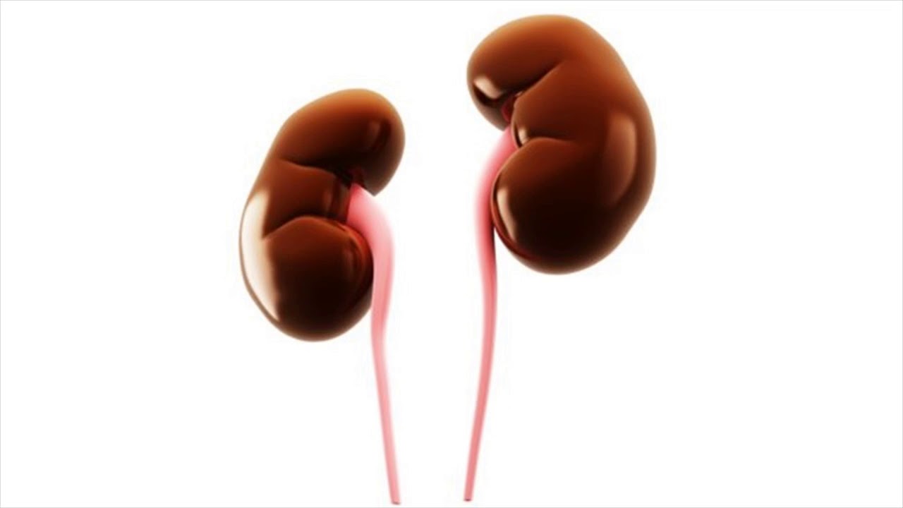 Postrenal Kidney Failure Causes- Its Symptoms - YouTube