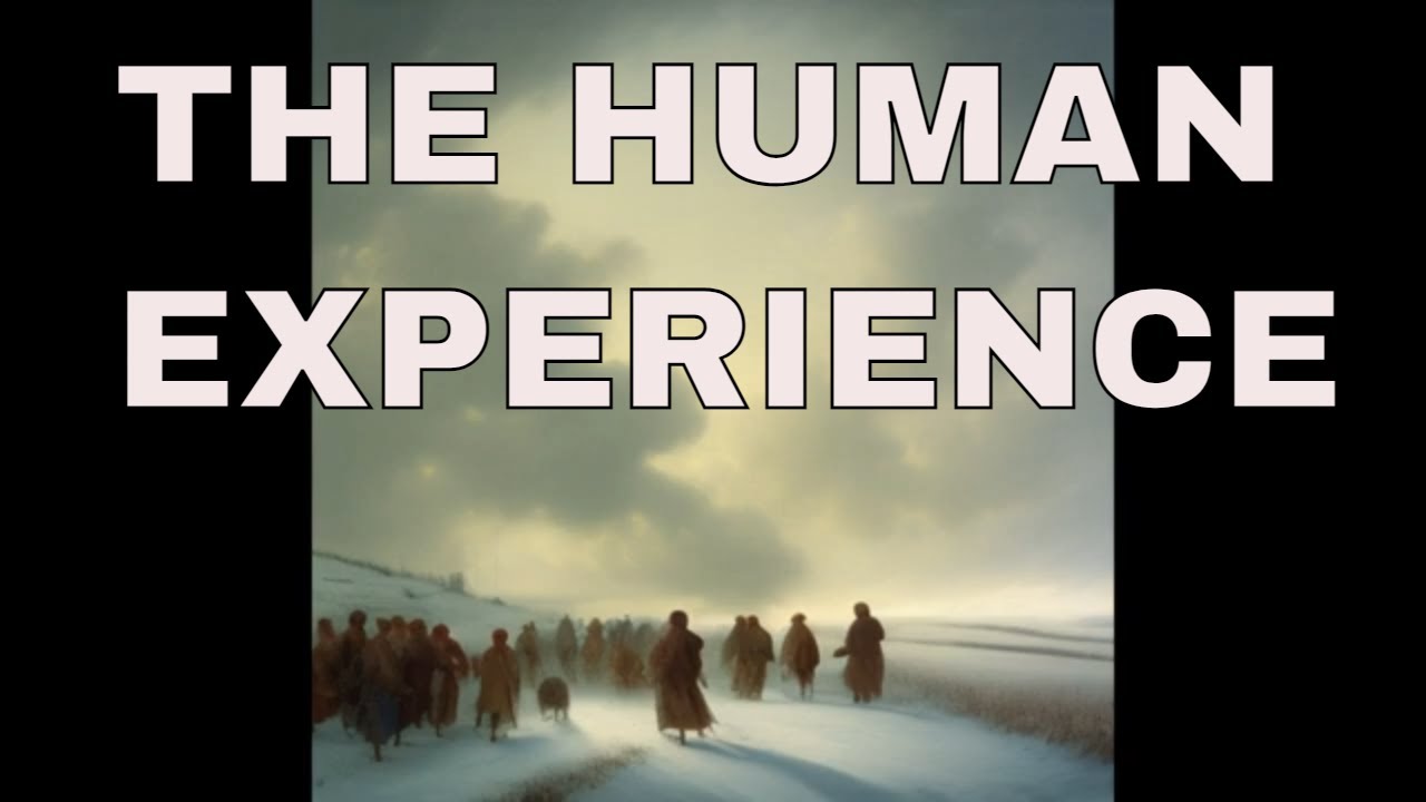 The Human Experience - YouTube