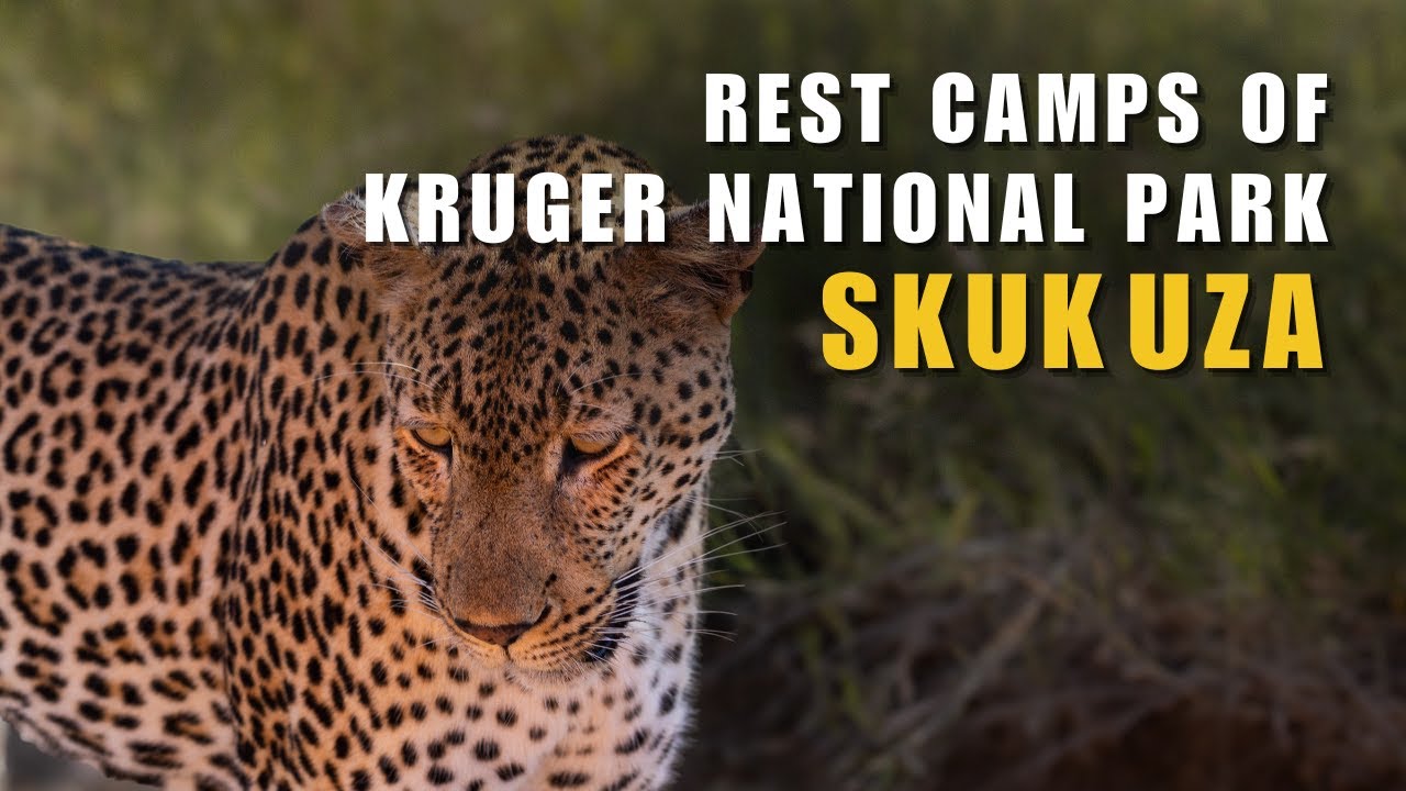 SKUKUZA REST CAMP REVIEW | Kruger National Park Accommodation | Rest ...