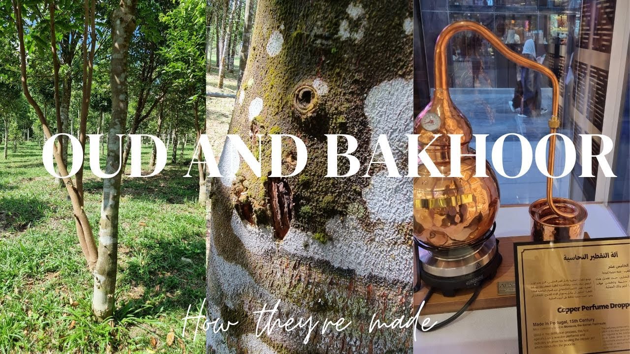 What are Oud and Bakhoor and how are they produced? - YouTube