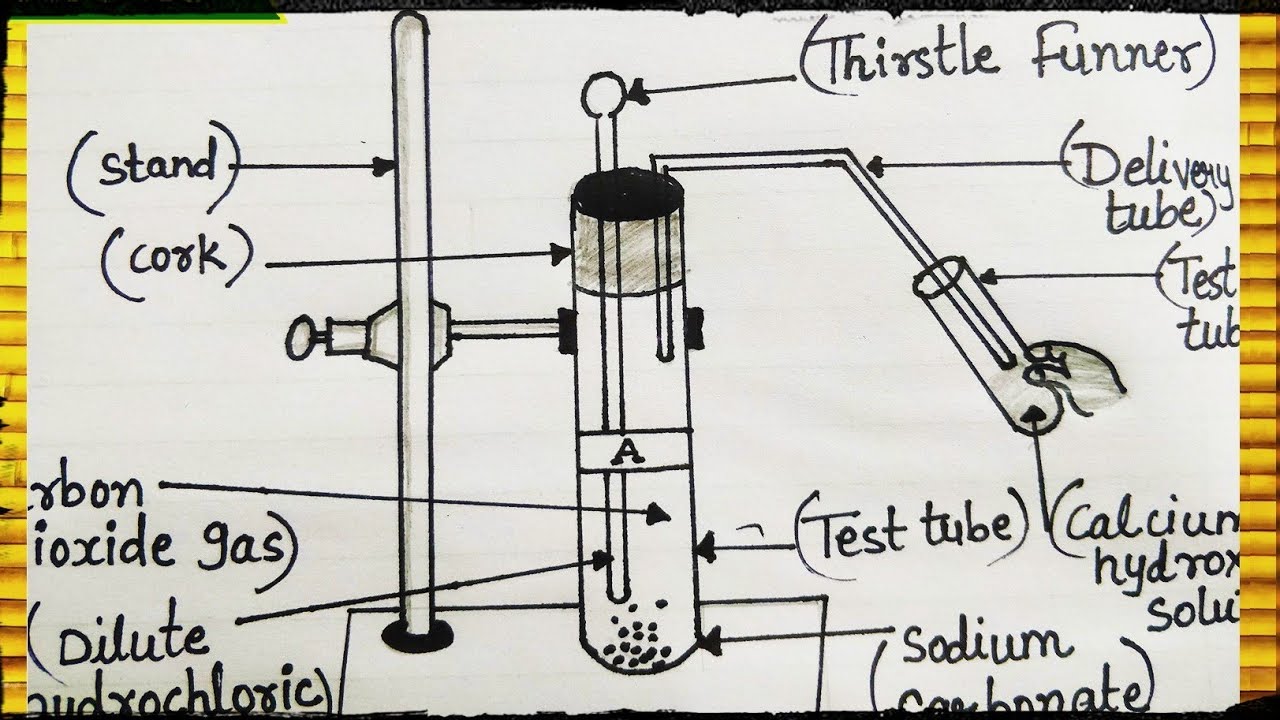 Passing carbon dioxide gas through calcium hydroxide solution for class ...