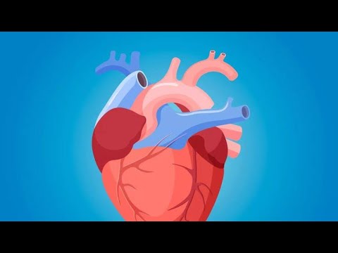 The heart song ♥️ - YouTube