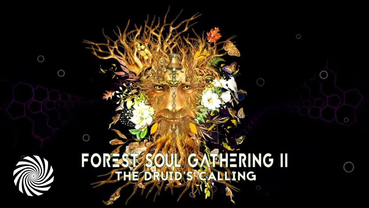 Forest Soul Gathering 2019 - The Druid's Calling (Portugal) - YouTube