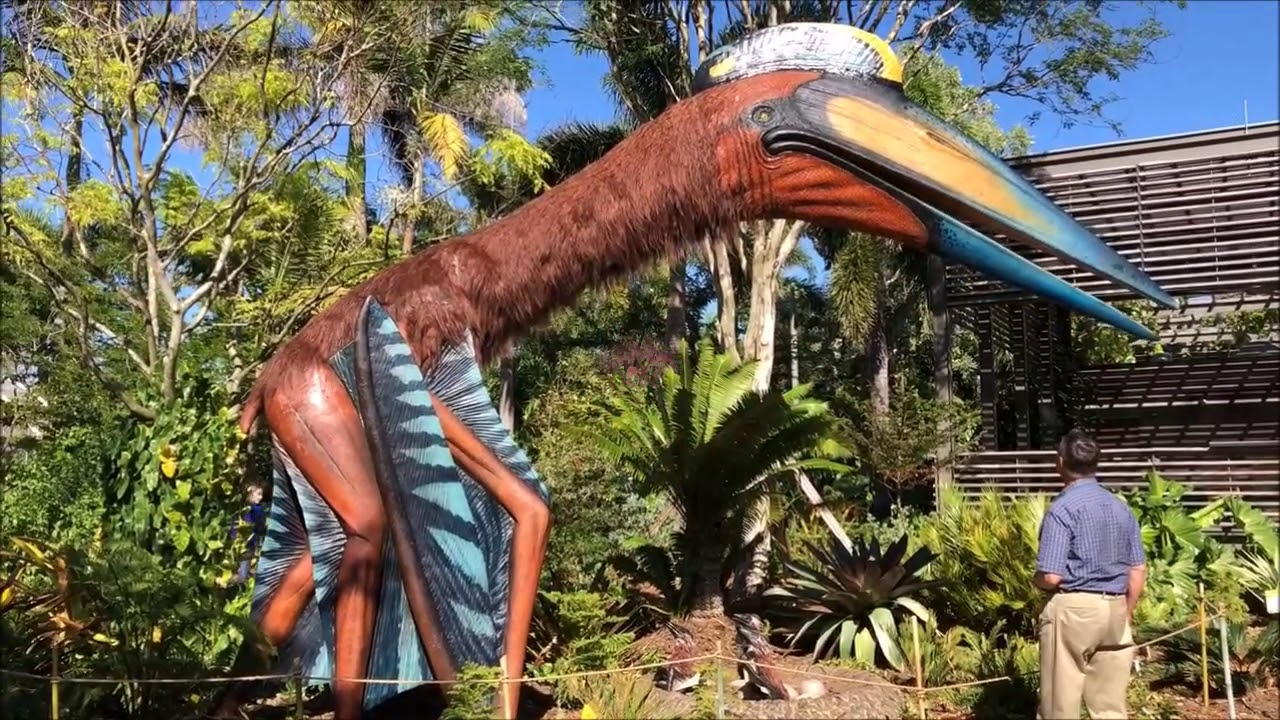 Our Trip to Naples, FL, March 2018 - YouTube