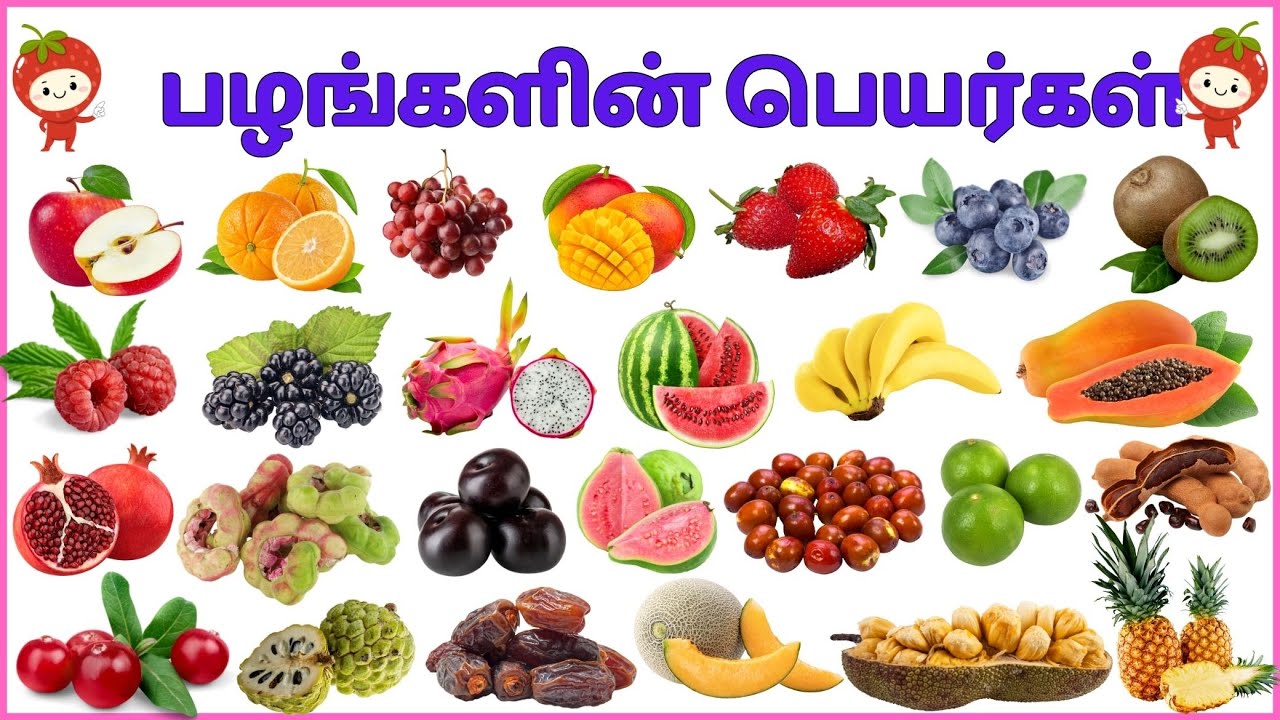 பழங்களின் பெயர்கள் |Fruits Name in Tamil & English | Palangalin ...