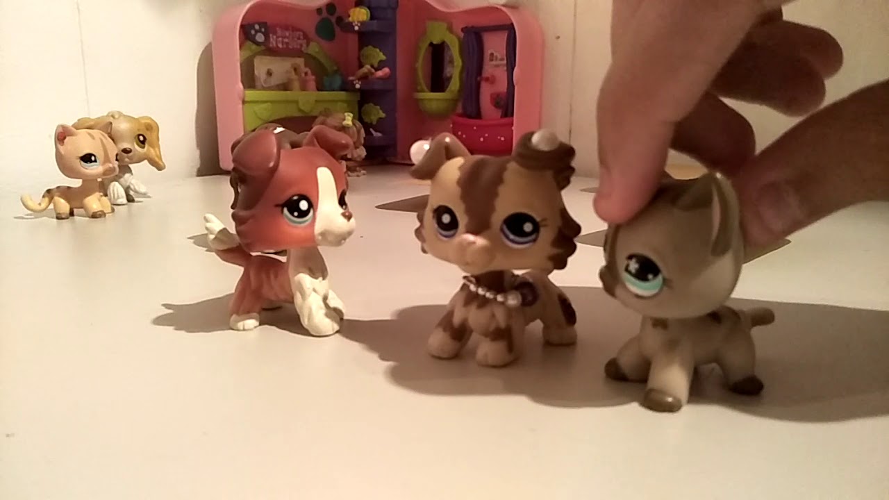 Random scene!😂 - YouTube