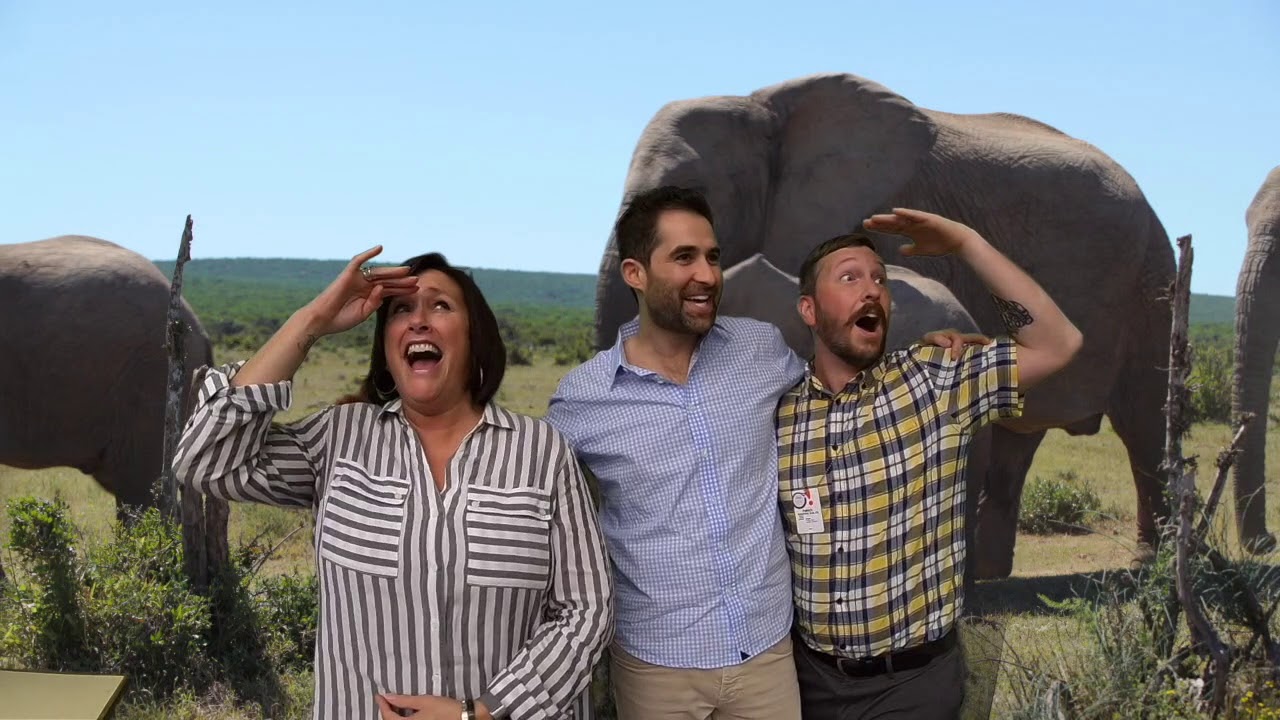 LIVE FROM MAINE WITH MY NEW GEIGER FAM! - YouTube