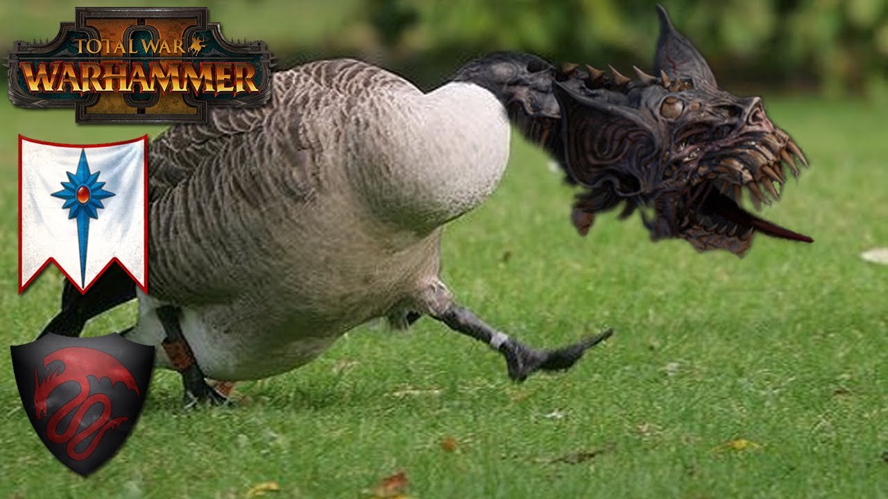 THE DREADED TERROR GOOSE - High Elves vs Vampire Counts | Total War ...