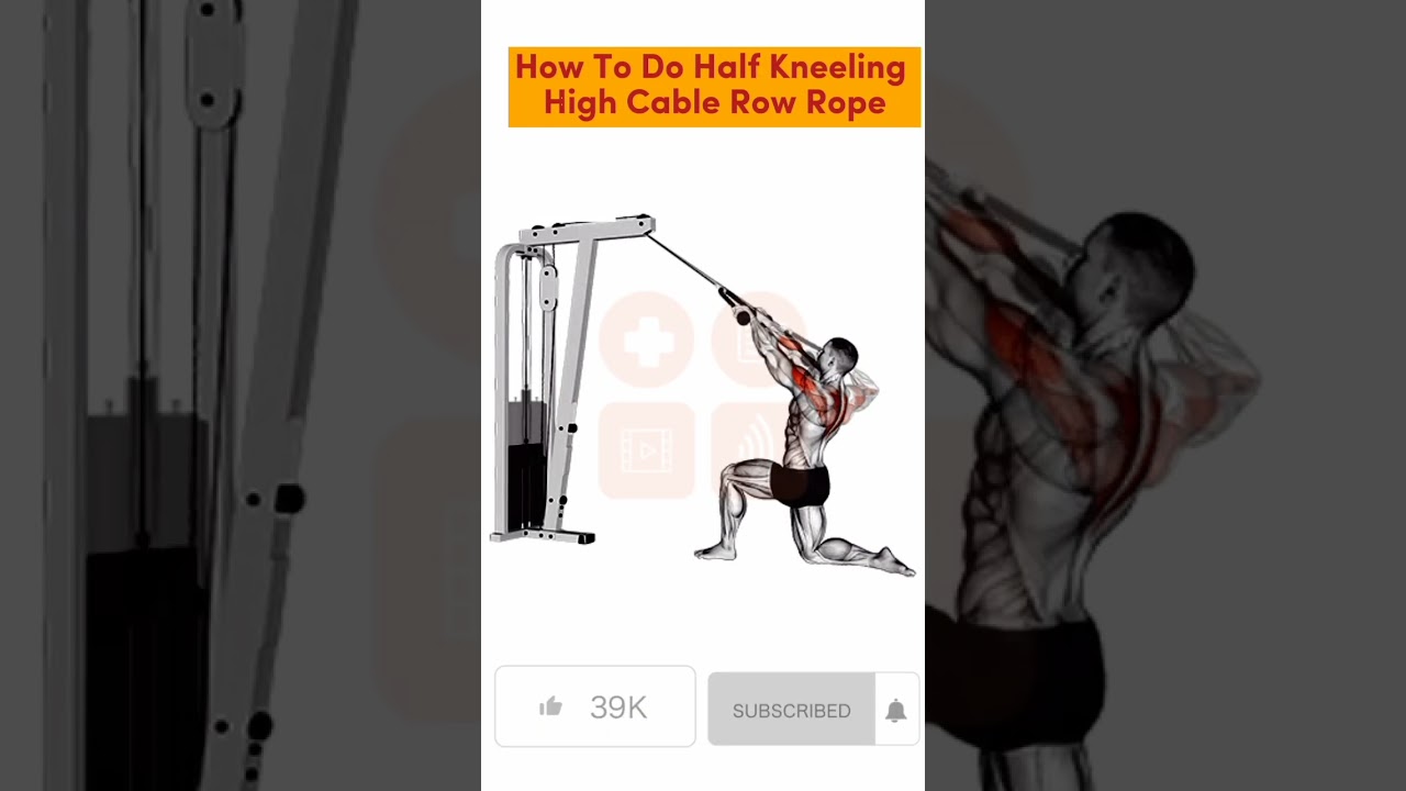 WORKS WELL! How do you do a half kneeling cable row? | How to do a half ...