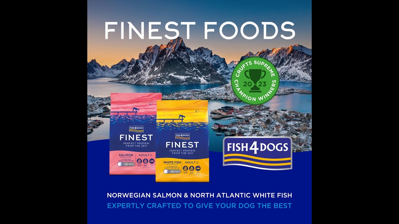 Fish4Dogs Finest Foods - YouTube