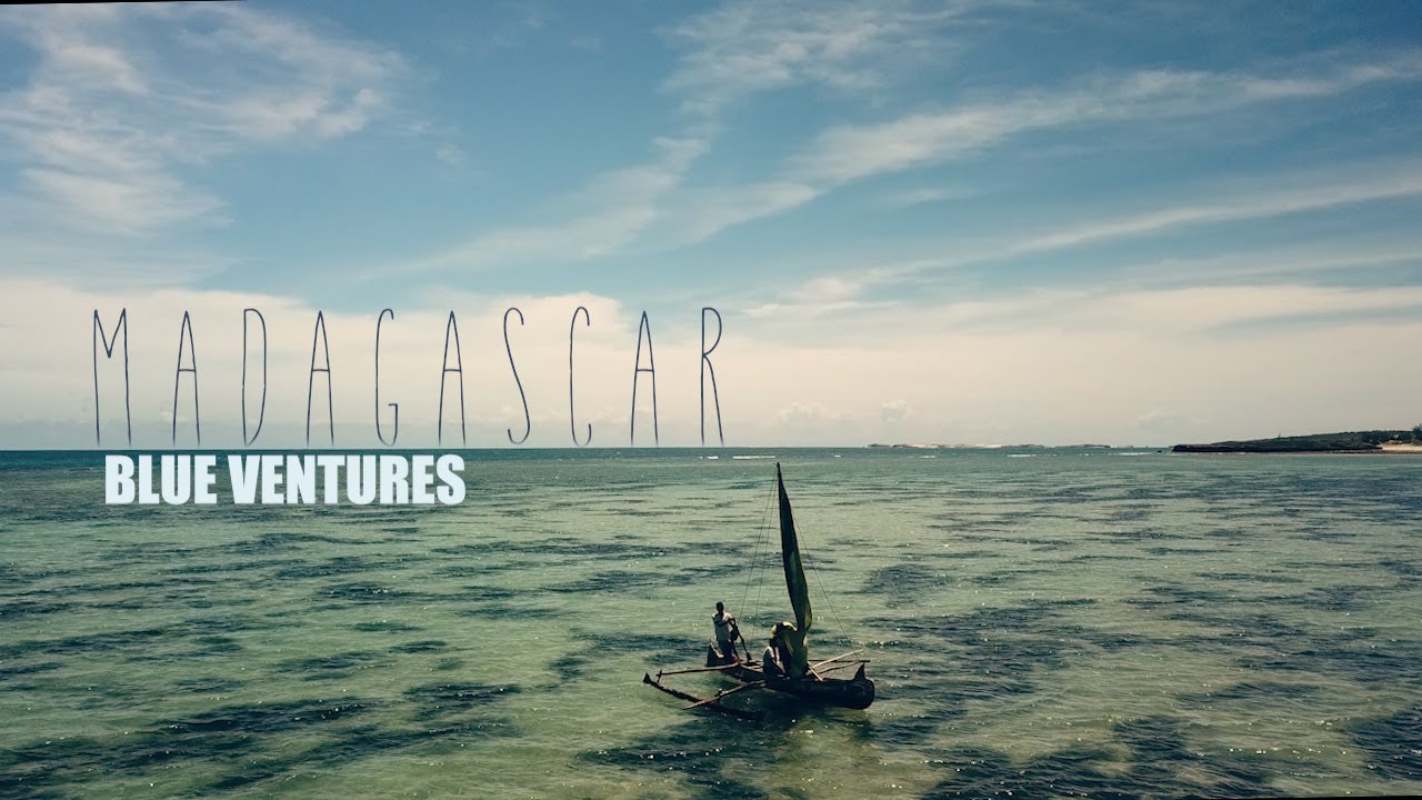 Madagascar with Blue Ventures - YouTube