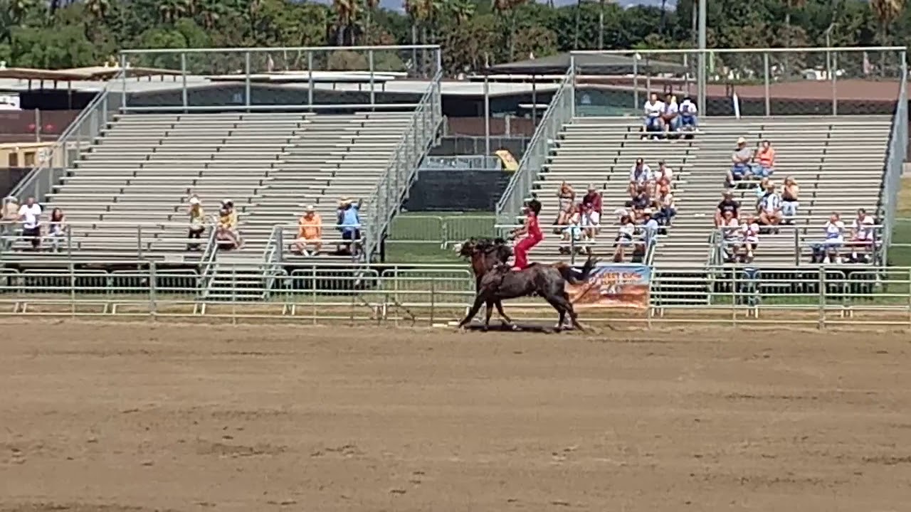 9/11/19 WILD WEST SHOW AT L.A. FAIR 2019 #laFair #laFair2019 - YouTube